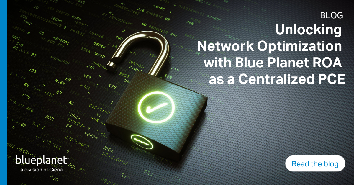 Unlocking Network Optimization with Blue Planet ROA as a Centralized ...